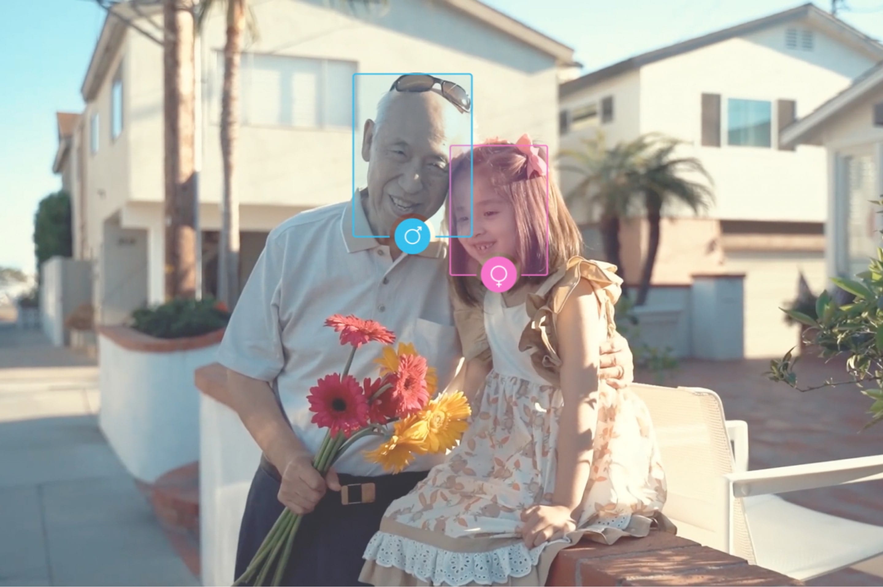 Facelytics | Detect face criteria